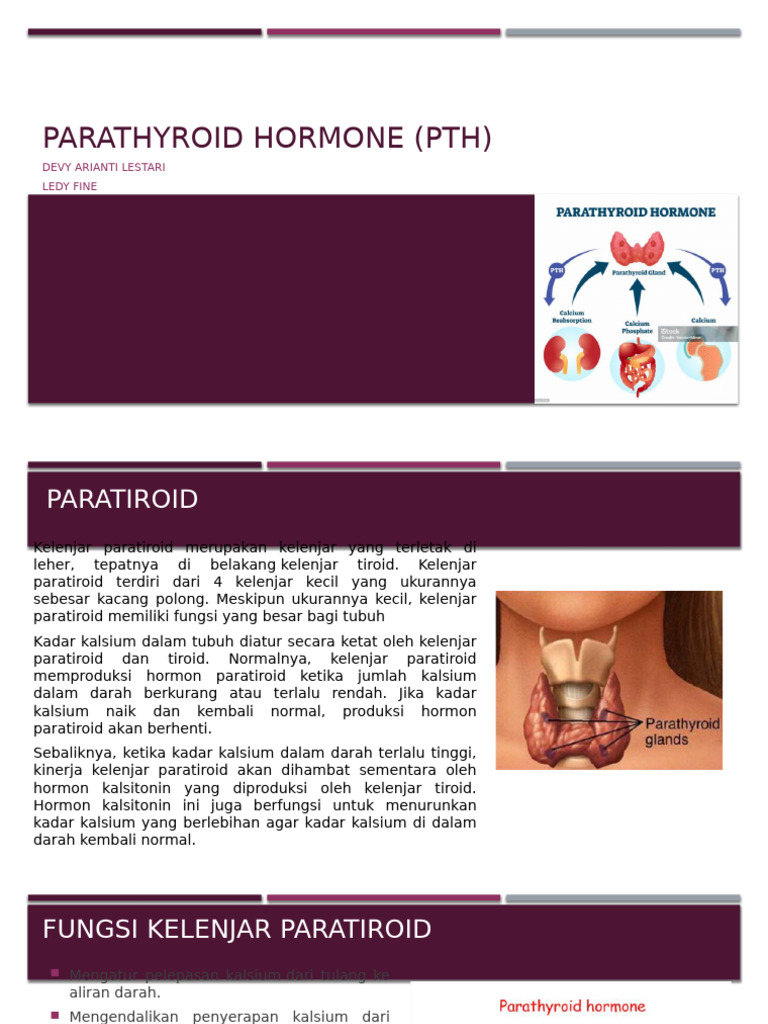 Parathyroid Hormone (PTH) | PDF