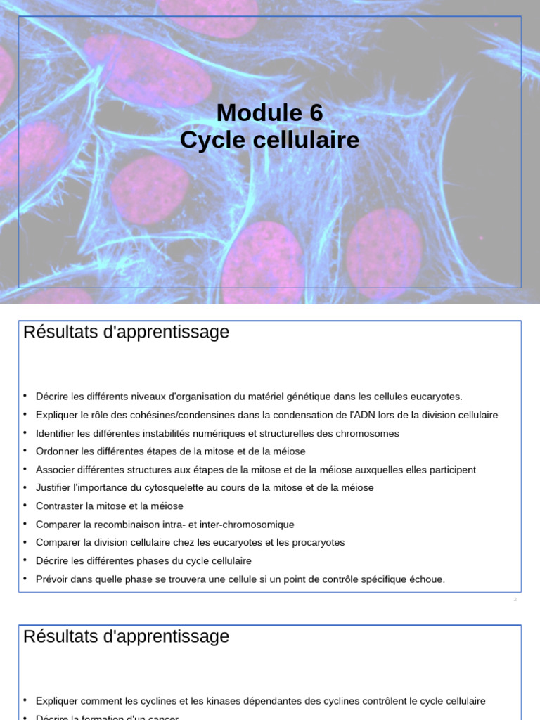 Module 6 - Cycle Cellulaire | PDF