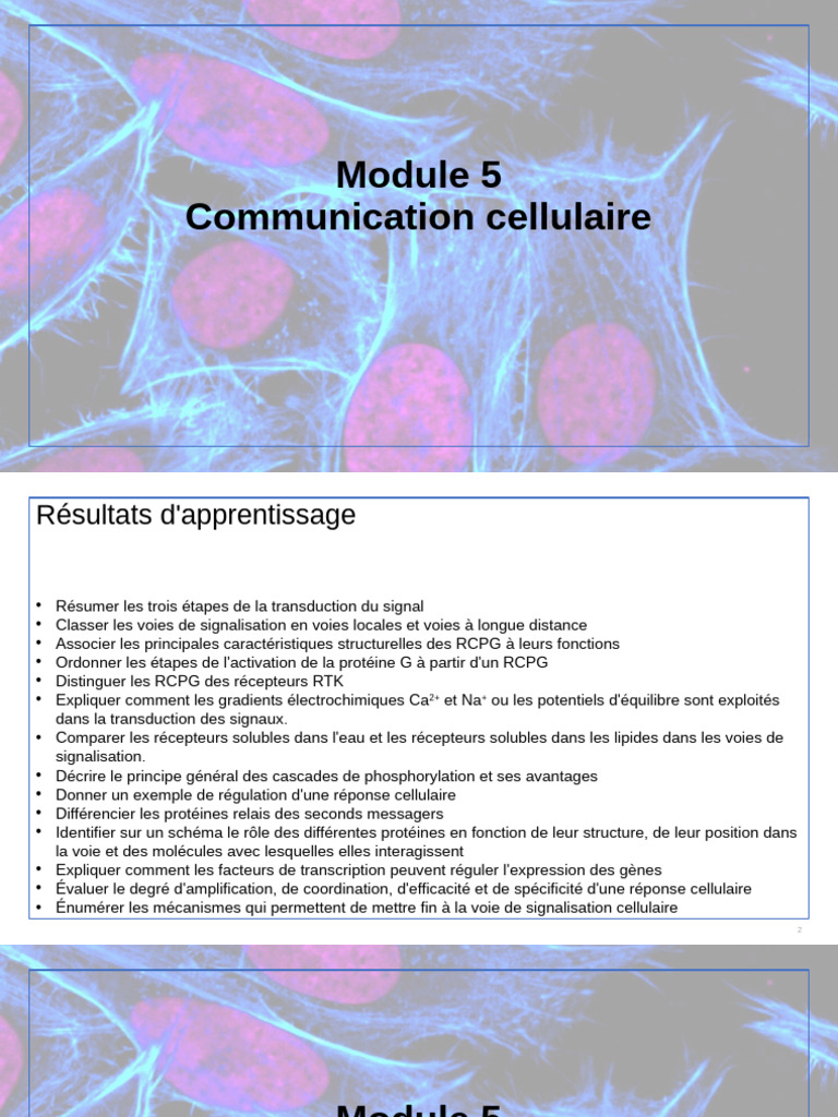 Module 5 - Communication Cellulaire | PDF
