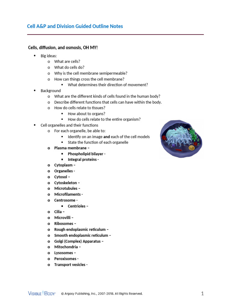 Cell AandP and Mitosis Guided Outline Notes | PDF