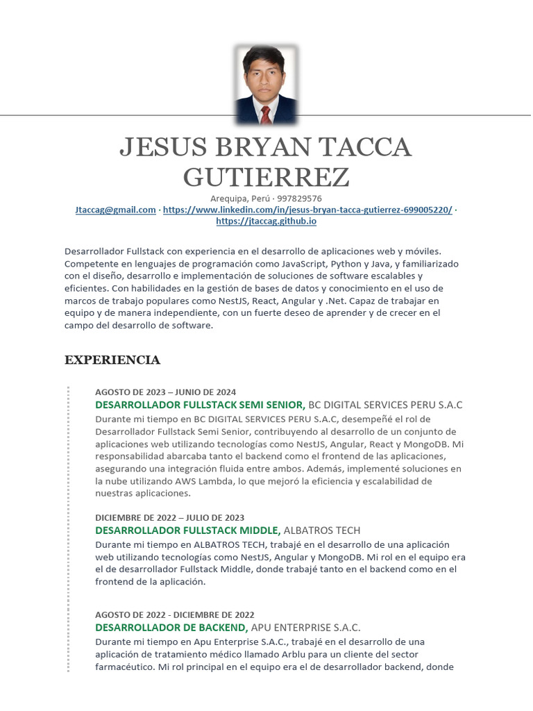 CV Jesus Tacca Gutierrez | PDF
