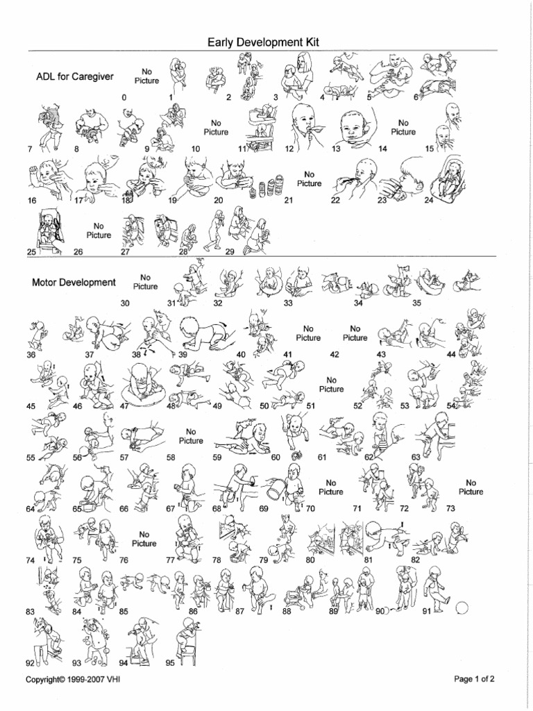 Early Development Visual Index | PDF