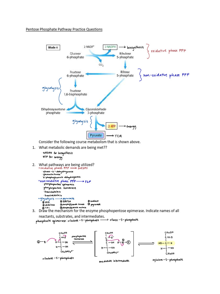 PPP Practice Questions | PDF