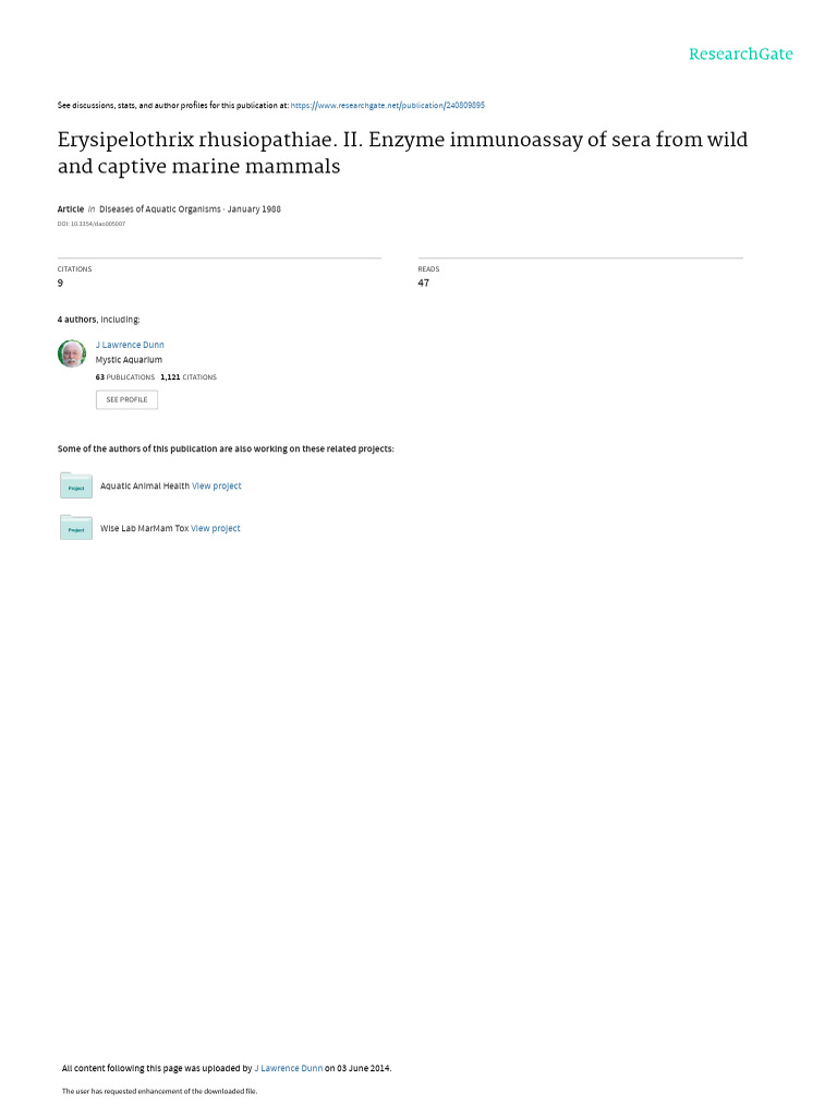 Erysipelothrix Rhusiopathiae II Enzyme Immunoassay | PDF