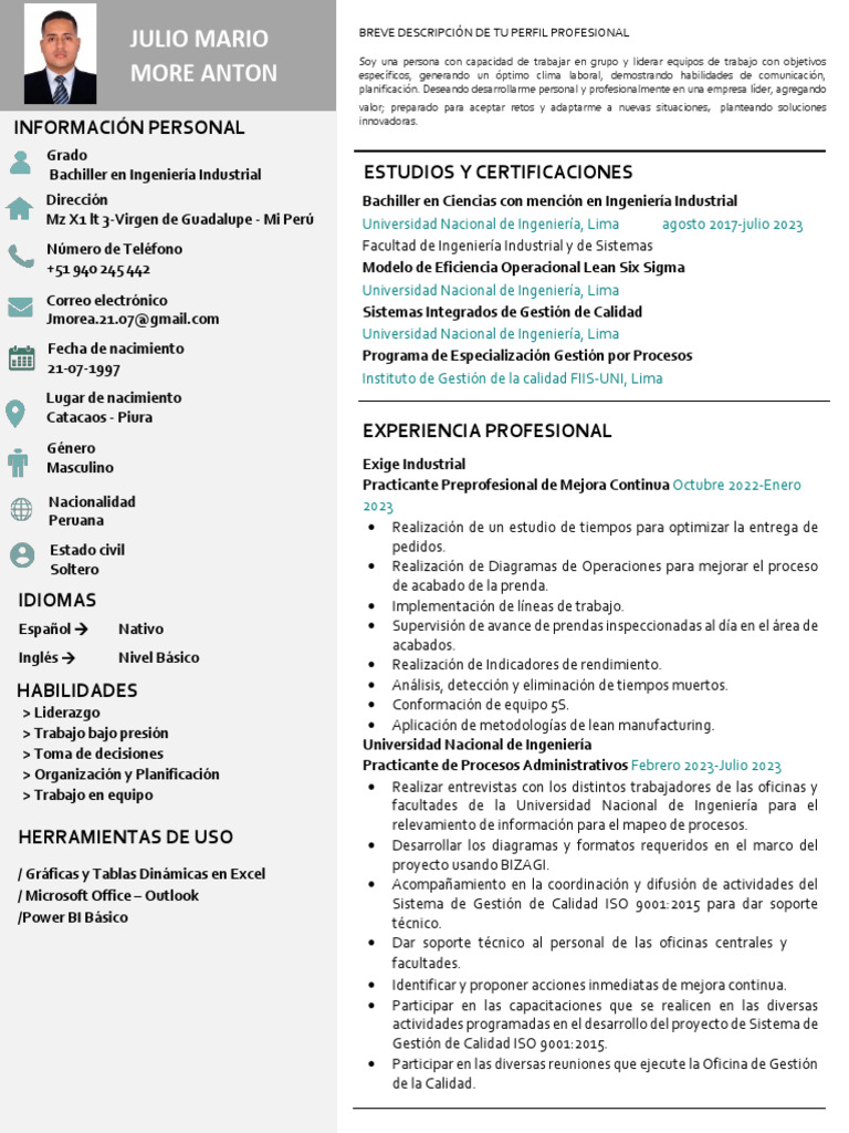 CV Julio More | PDF