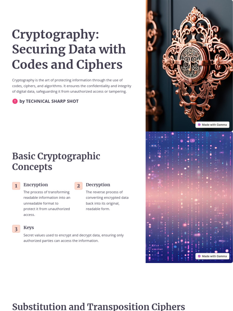 Cryptography Securing Data With Codes and Ciphers | PDF