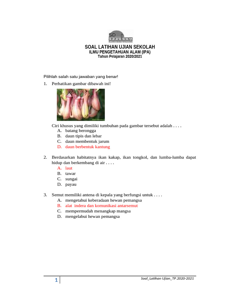 PEMBAHASAN SOAL LATIHAN UJIAN IPA 2021 | PDF