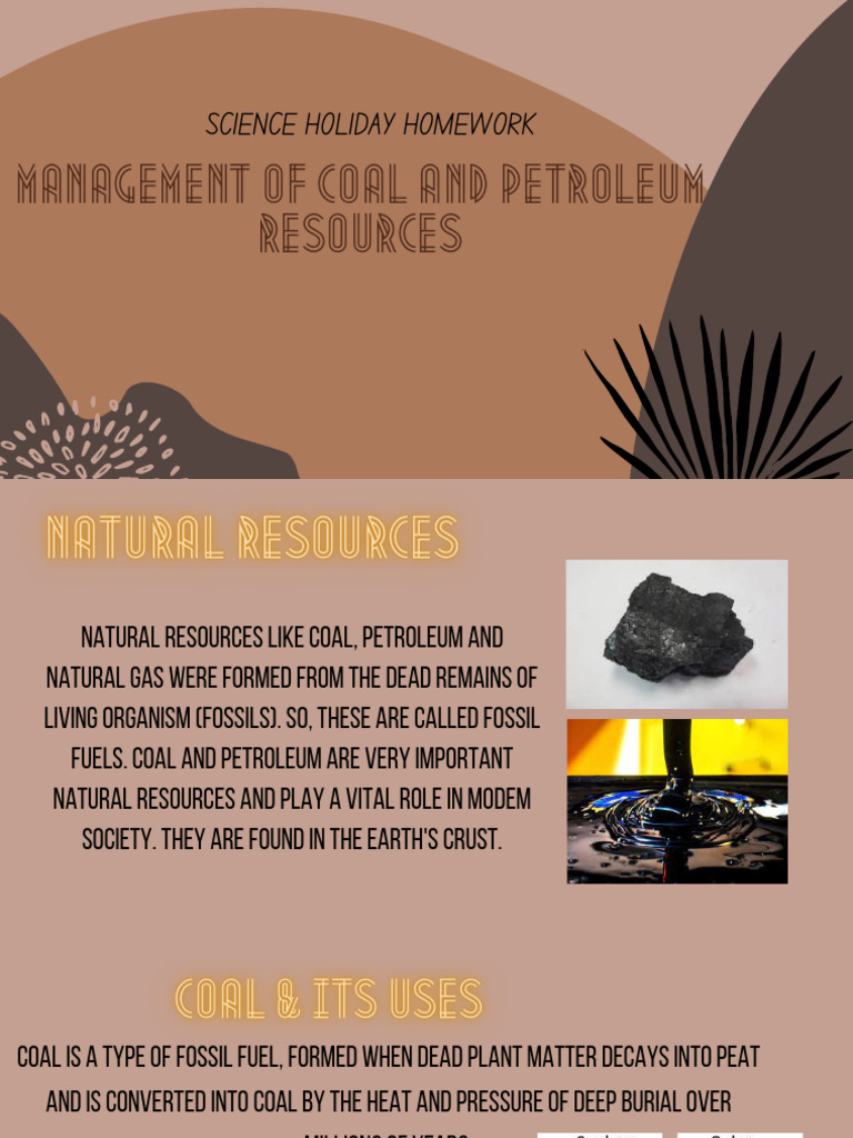 Science HHW Presentation | PDF