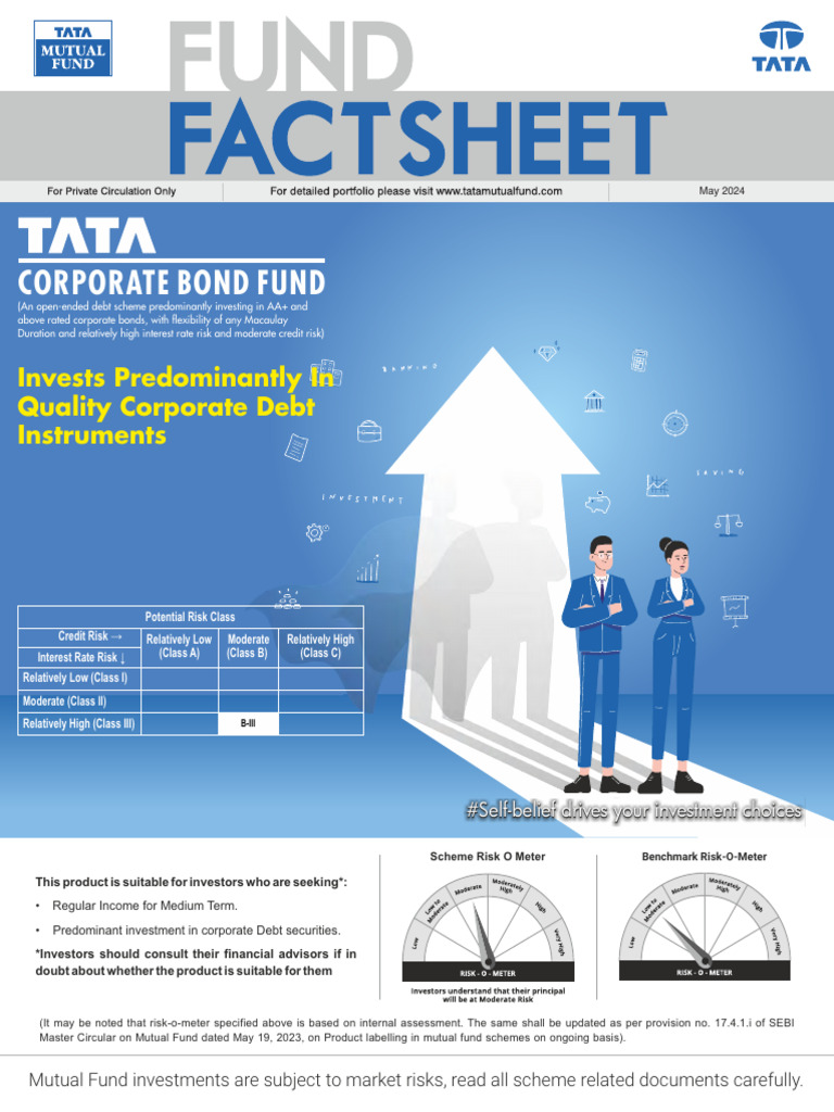Tata MF Factsheet - May2024 | PDF