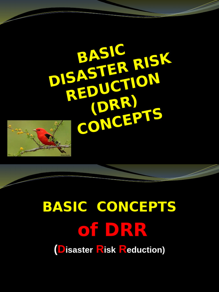 2 DRR Concepts | PDF