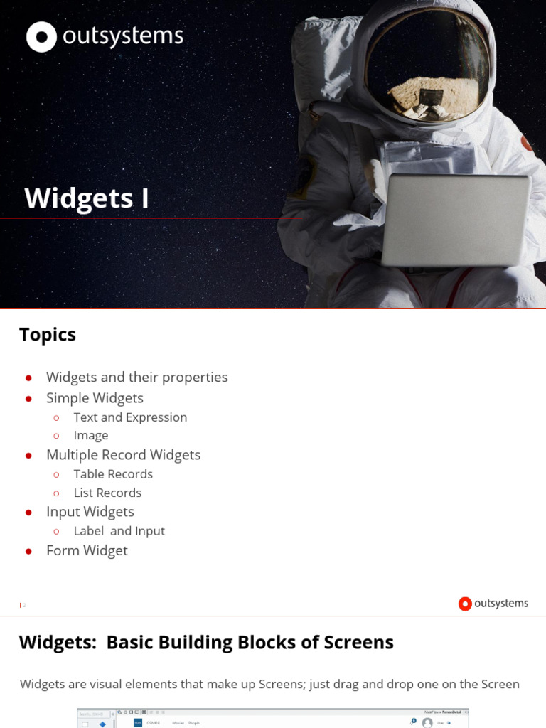3.5 Widgets I | PDF