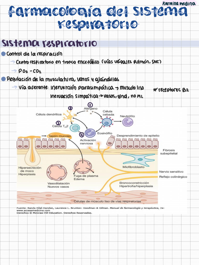 Fco Sistema Respiratorio | PDF