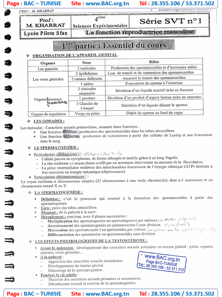 Résumé SVT - Bac Science - Lycée Pilote Sfax | PDF