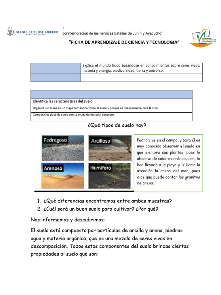 Ficha Cyt 26 de Agosto | PDF