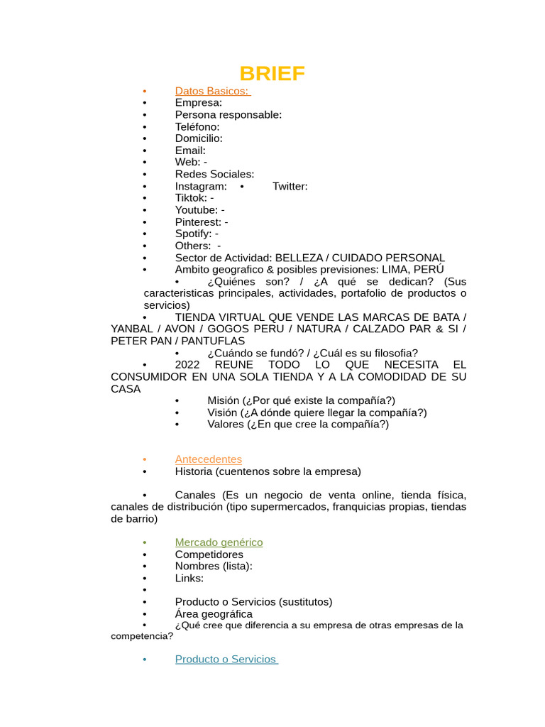 Brief de Marca | PDF