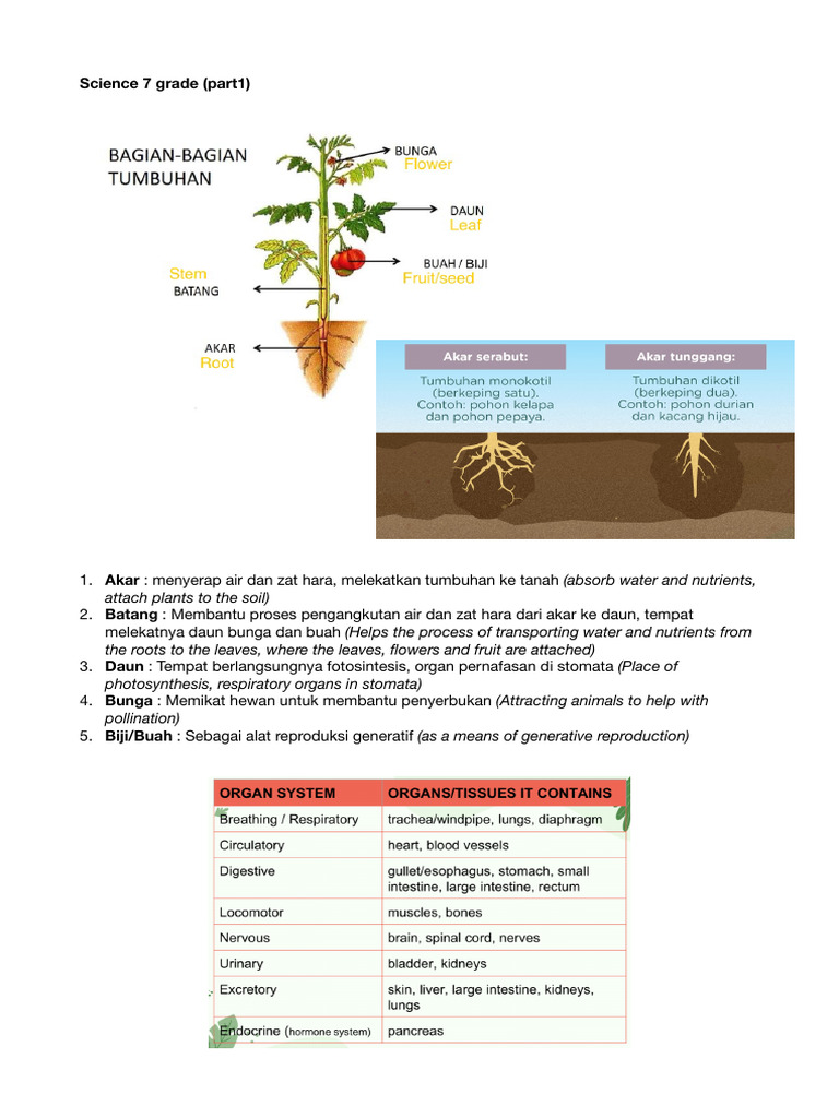 Natural Science Theme 1 | PDF