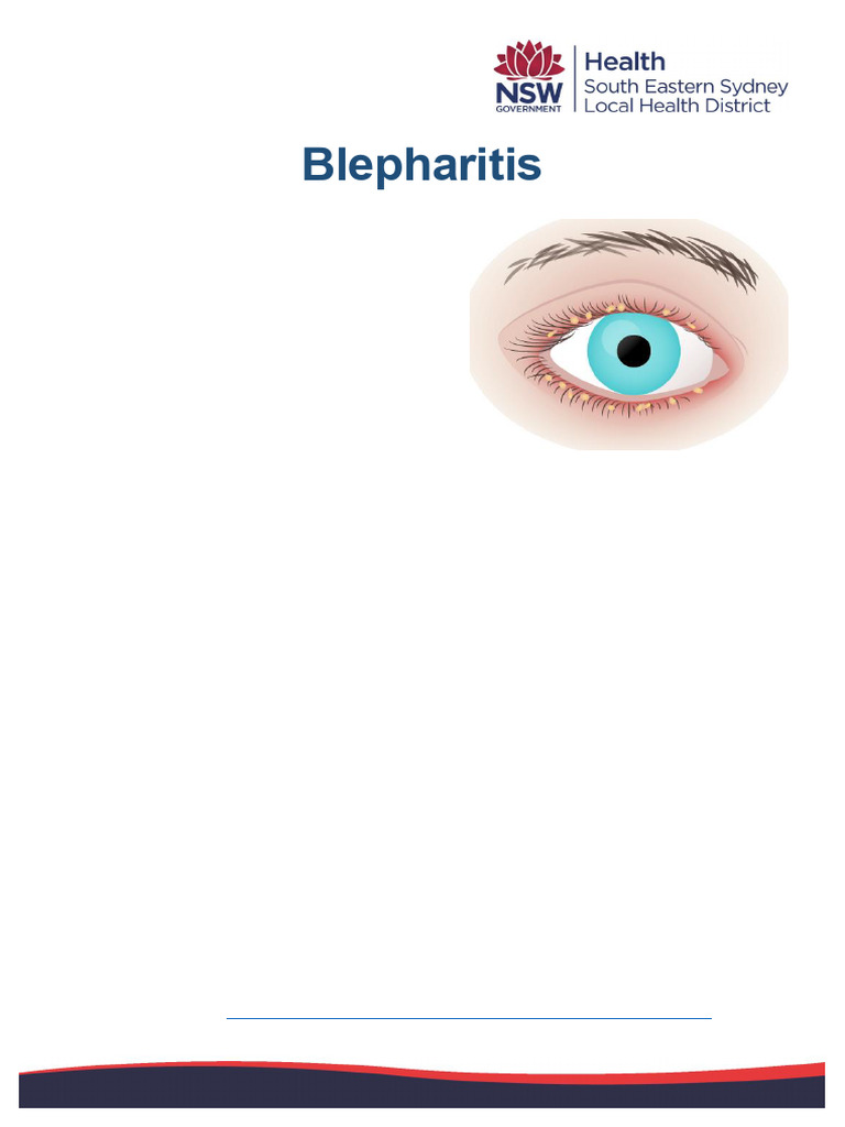 Blepharitis Info Sheet 4 | PDF