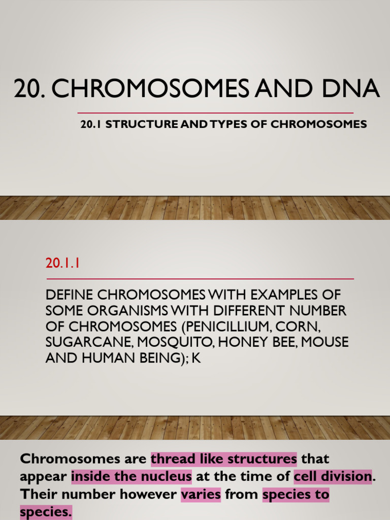 Structure and Types of Chromosomes | PDF