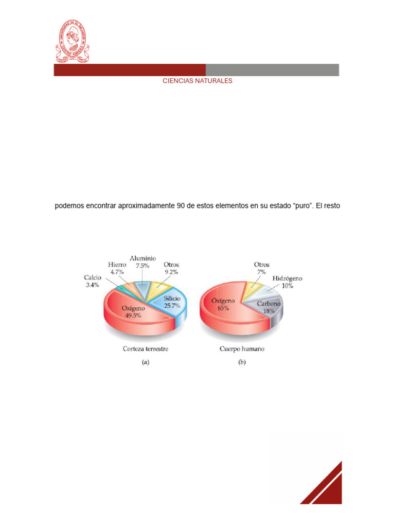 Guía de Refuerzo Semana II | PDF