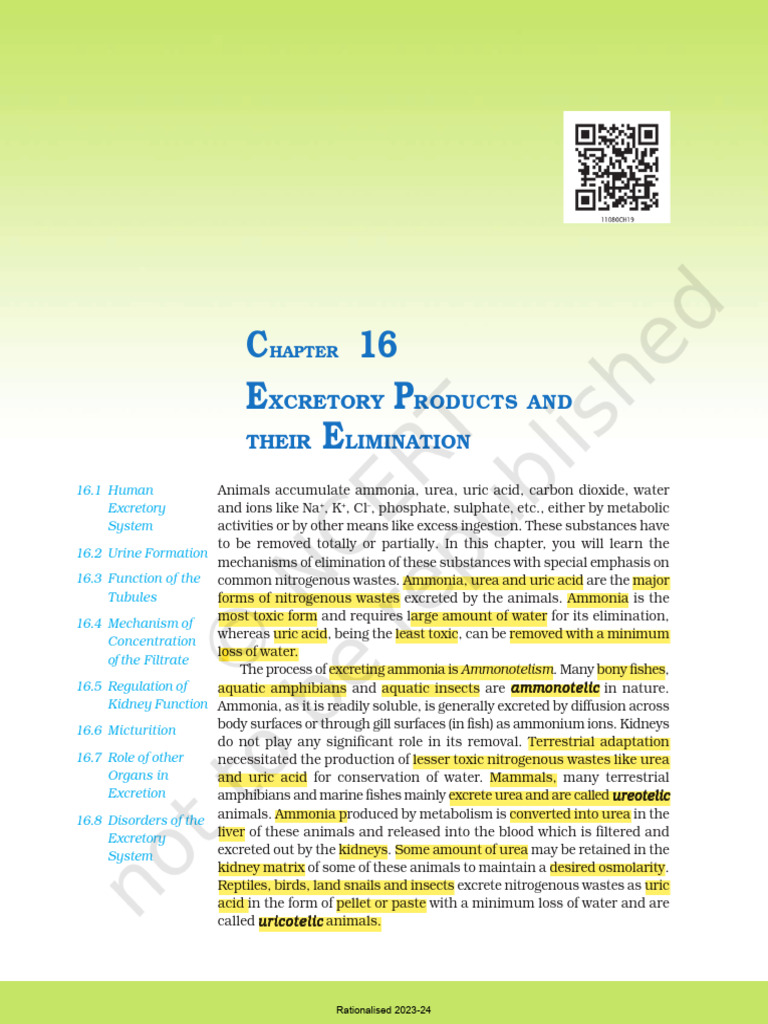 Execretion in Man | PDF