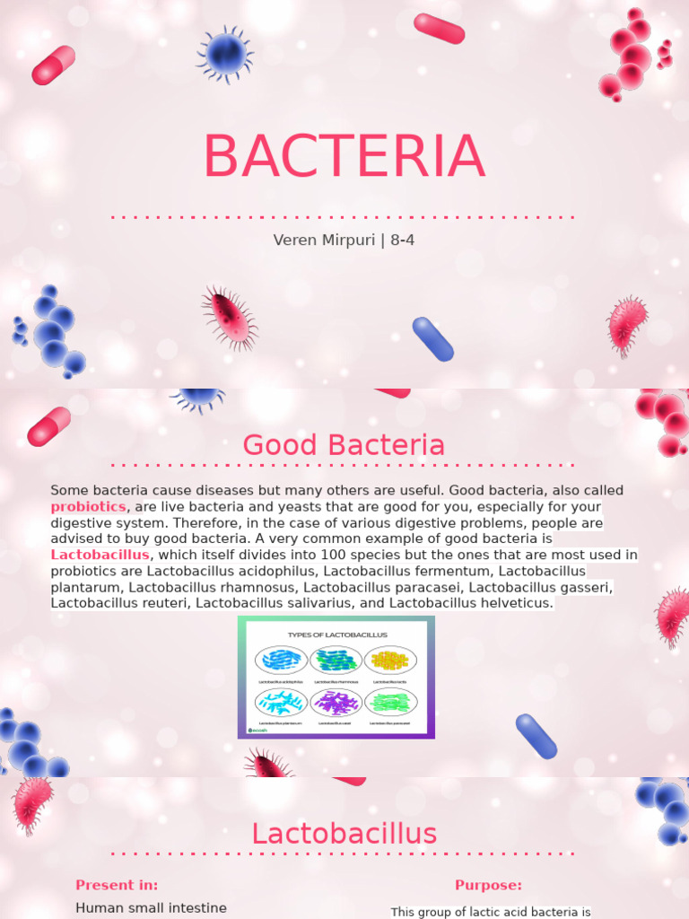 Bacteria | PDF