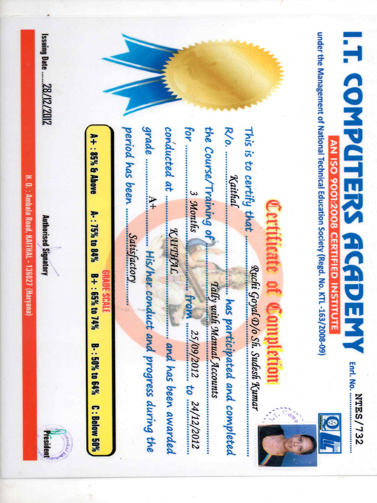 IT Skill Certificate | PDF