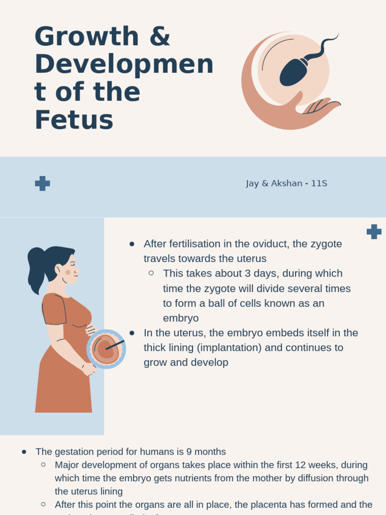 Growth & Development of The Fetus | PDF | Placenta | Fetus