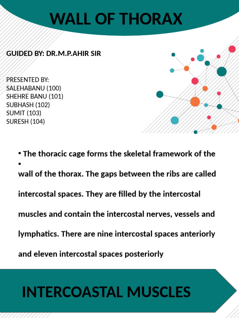 Wall of Thorax-Wps Office | PDF
