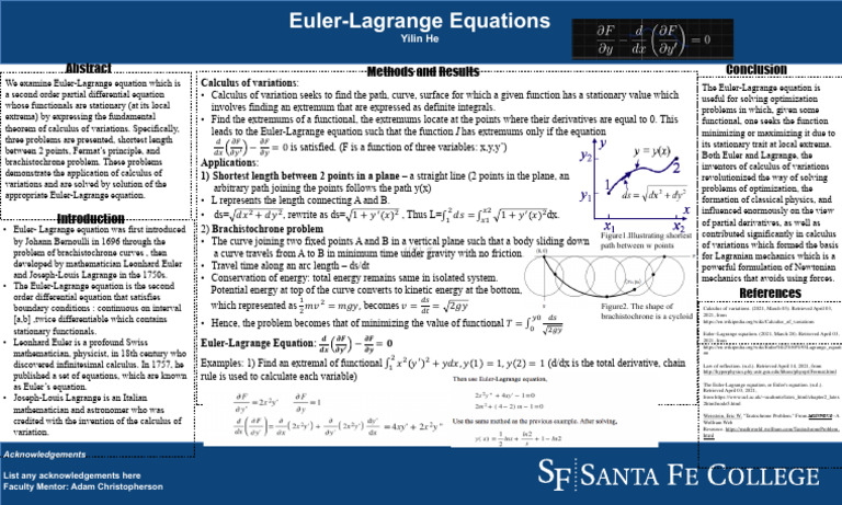 Research Euler Lagrange - Summer 2025 | PDF