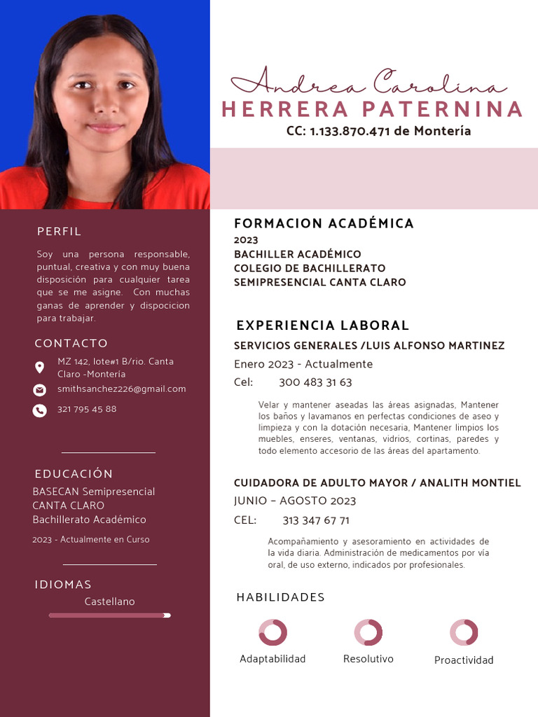 Curriculum Hoja de Vida Andrea Carolina Herrera | PDF