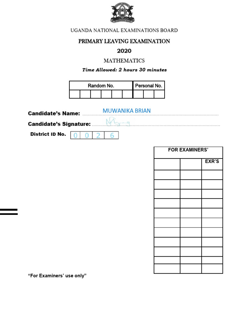 Ple MATHEMATICS Marking Guide | PDF