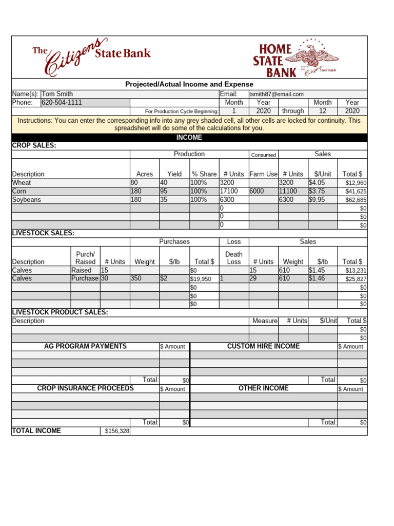 Income-and-Expense-Worksheet | PDF
