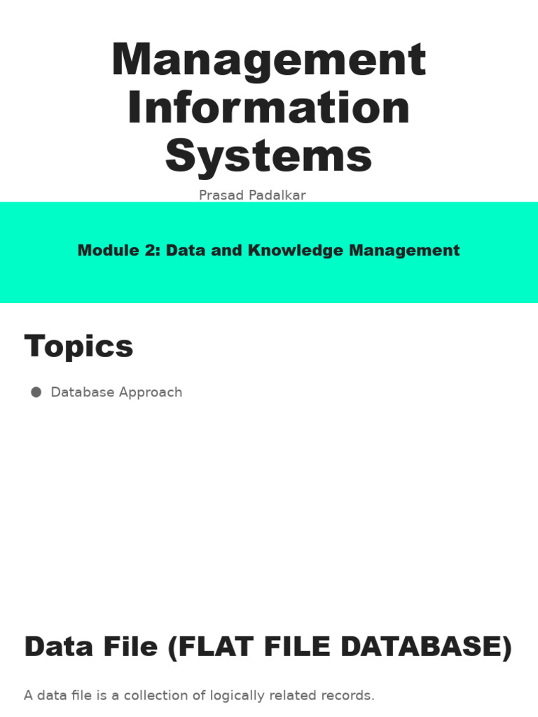 MIS-Module2 Part 2 | PDF
