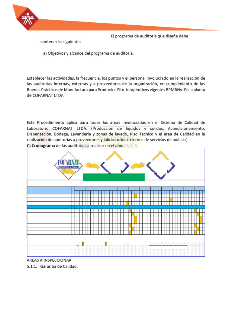 Formato Evidencia AA2 Ev2 Taller Programa y Plan de Auditoria | PDF | Auditoría | Calidad ...