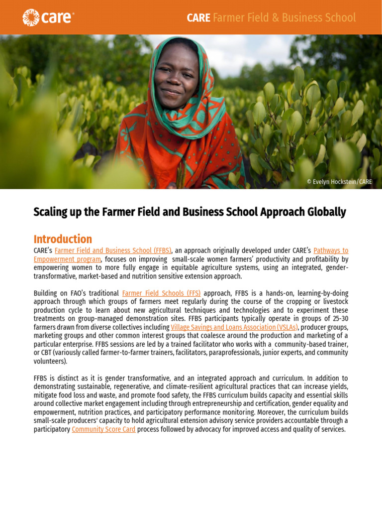 FFBS Innovation Brief 2.0 | PDF