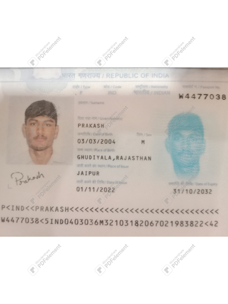 Passport | PDF