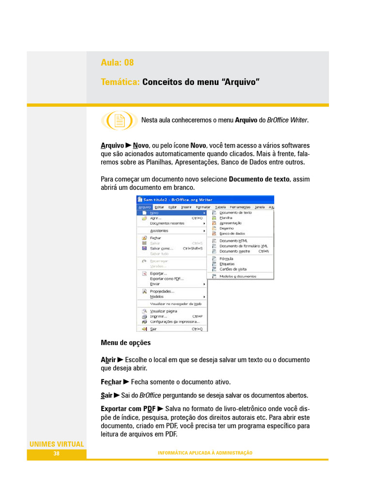Aula-08 G - PIN - INF0 - 1 - 3 - 08 | PDF