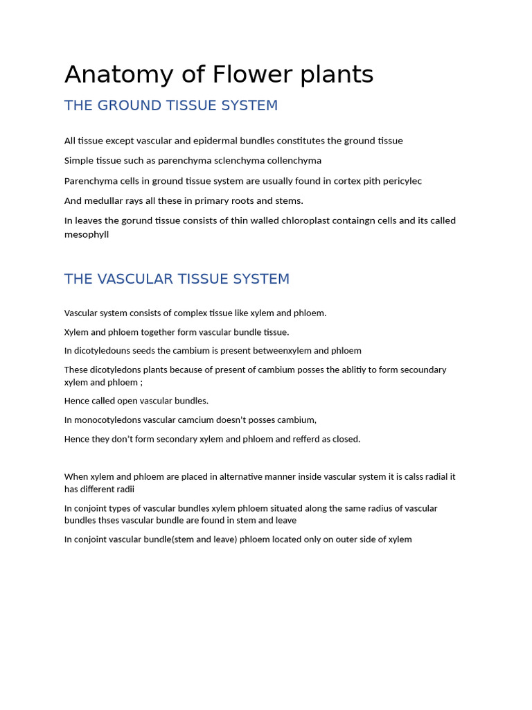 Anatomy of Flower Plants | PDF
