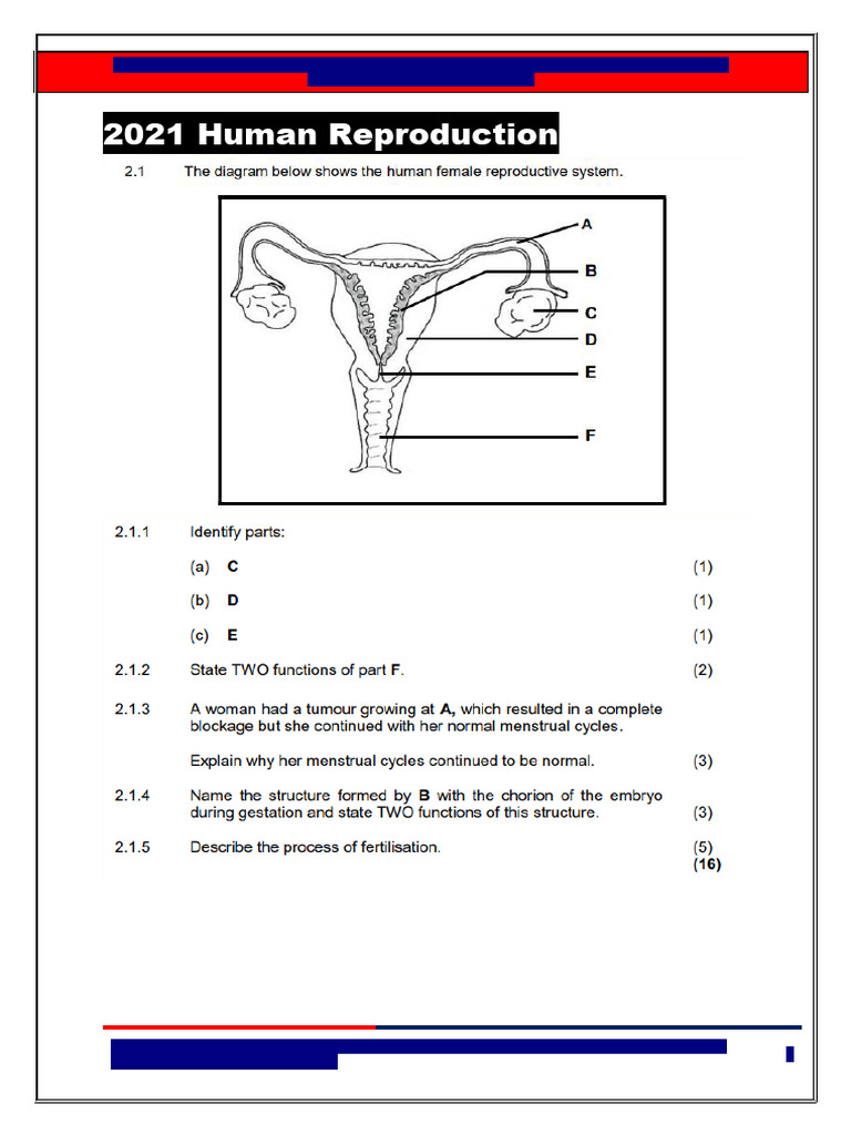 2024 LFSC Gr12 p1 Trial Final Revision - 3 KZN Past Paper in 1-By NP Mbhele | PDF