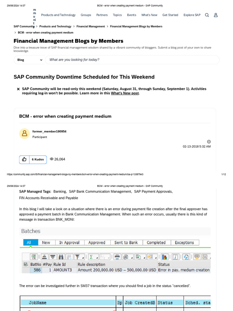 BCM Error When Creating Payment Medium SAP Community | PDF | Computing | Software