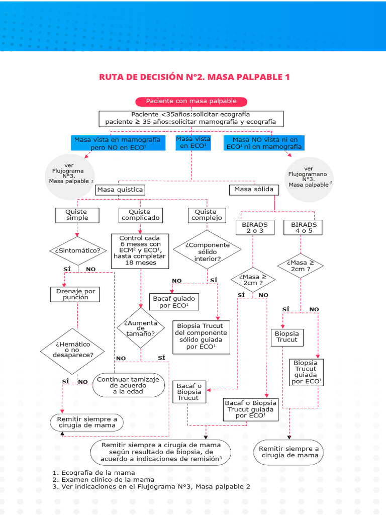 Protocolo para Manejo de Masa Palpable en Mama | PDF