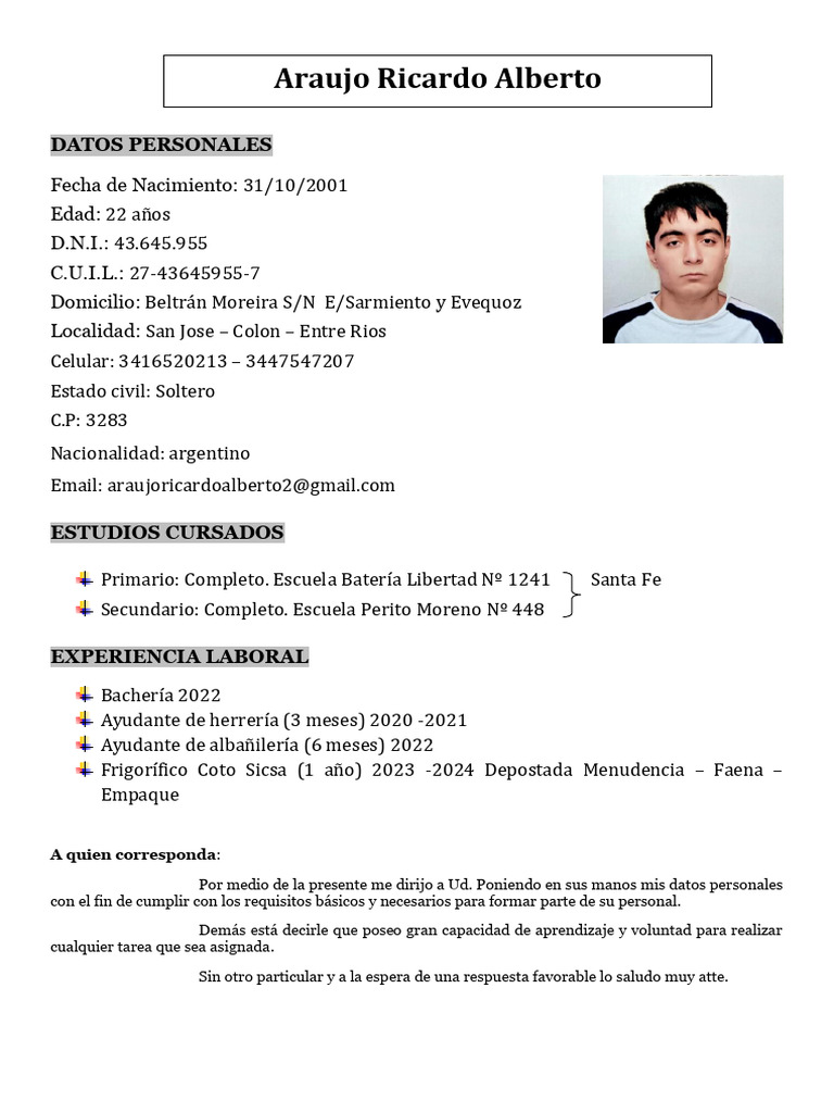 Curriculum Araujo Ricardo Alberto | PDF