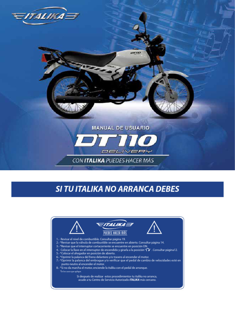 Manual Dt110 Delivery | PDF