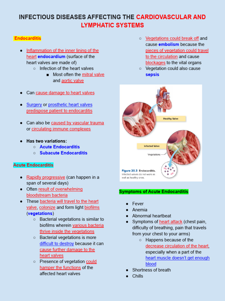 Cardio Notes 4 Pdf