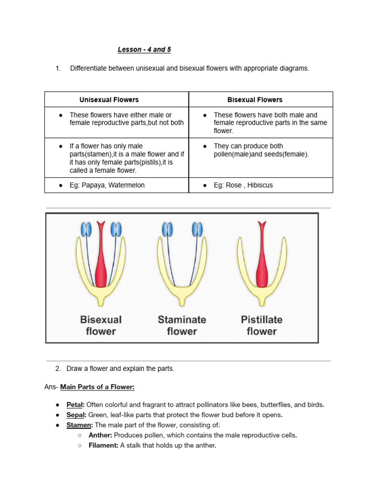 Unisexual Flowers Bisexual Flowers: Lesson - 4 and 5 | PDF