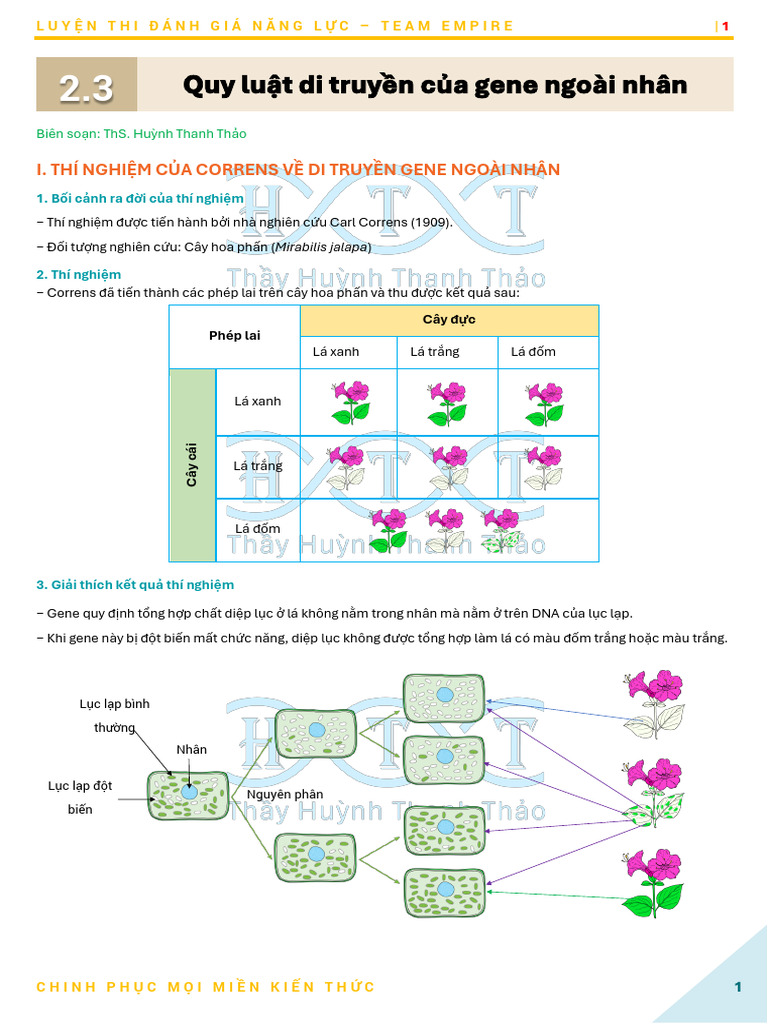 sinh hoc chuong 2 chu de 3A Quy luật di truyền của gene ngoài nhân (lý ...