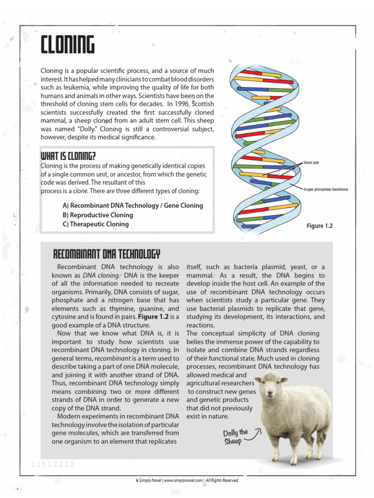 Kami Export - Gukmun Kim - Cloning Article Questions - SIMPLY NOVEL ...