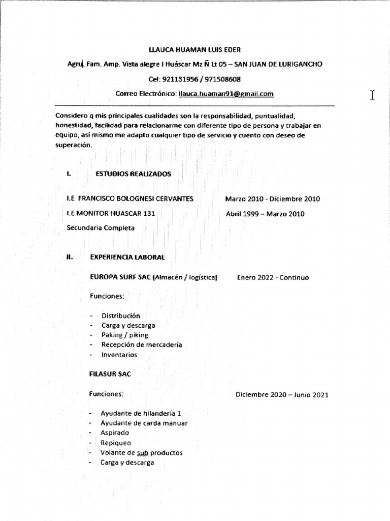 CV Llauca | PDF
