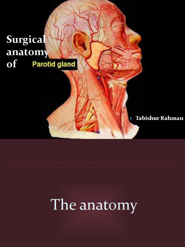 Surgical Anatomy of Parotid Gland 1687898003 | PDF