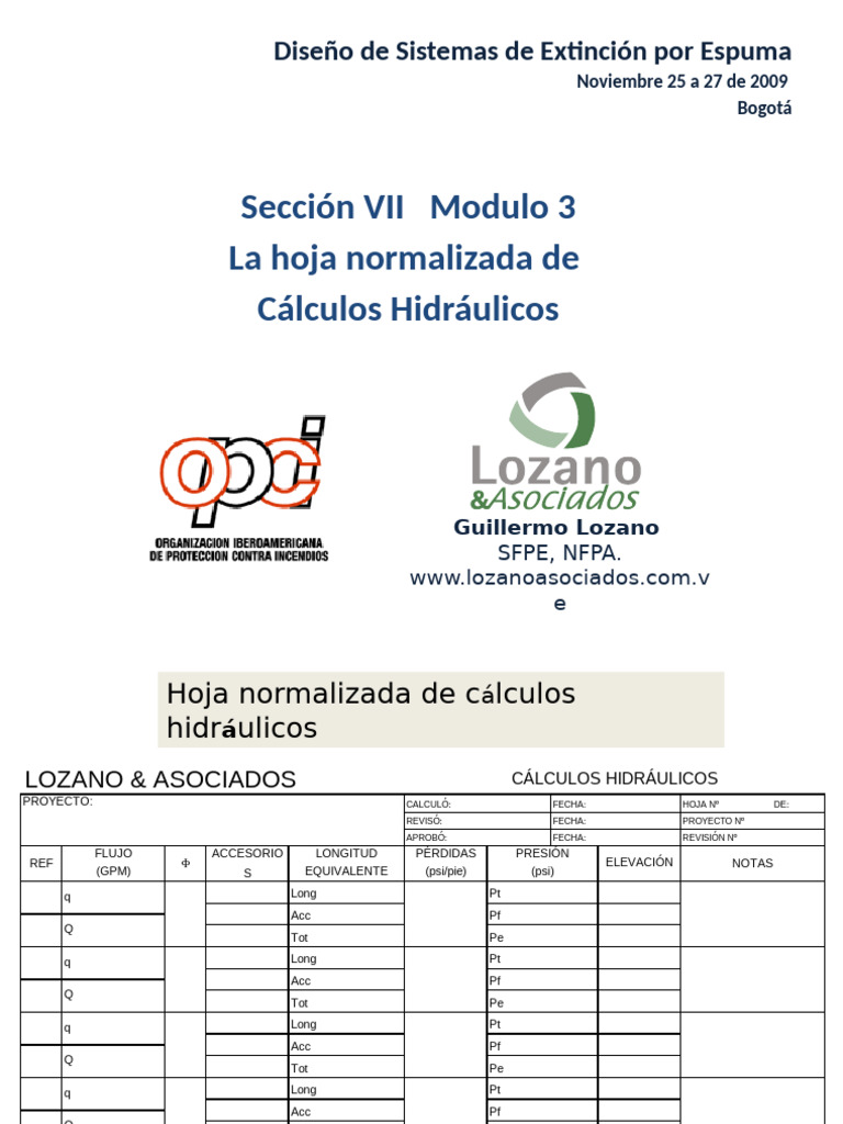 Seccion VII Modulo 3 Hoja Normalizada de Calculo | PDF